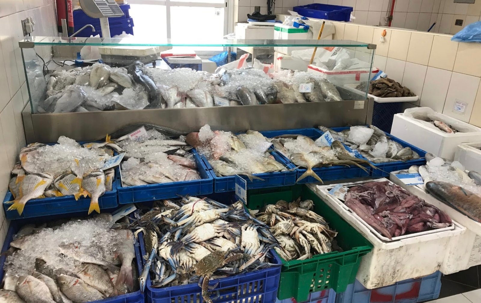 Explore Fresh Catch at Doha Fish Market | QatariScoop.com