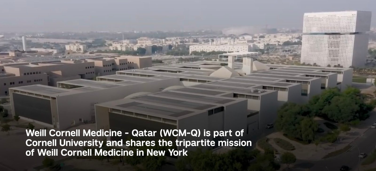 Top universities in Qatar: how to choose in 2026 | QatariScoop.com